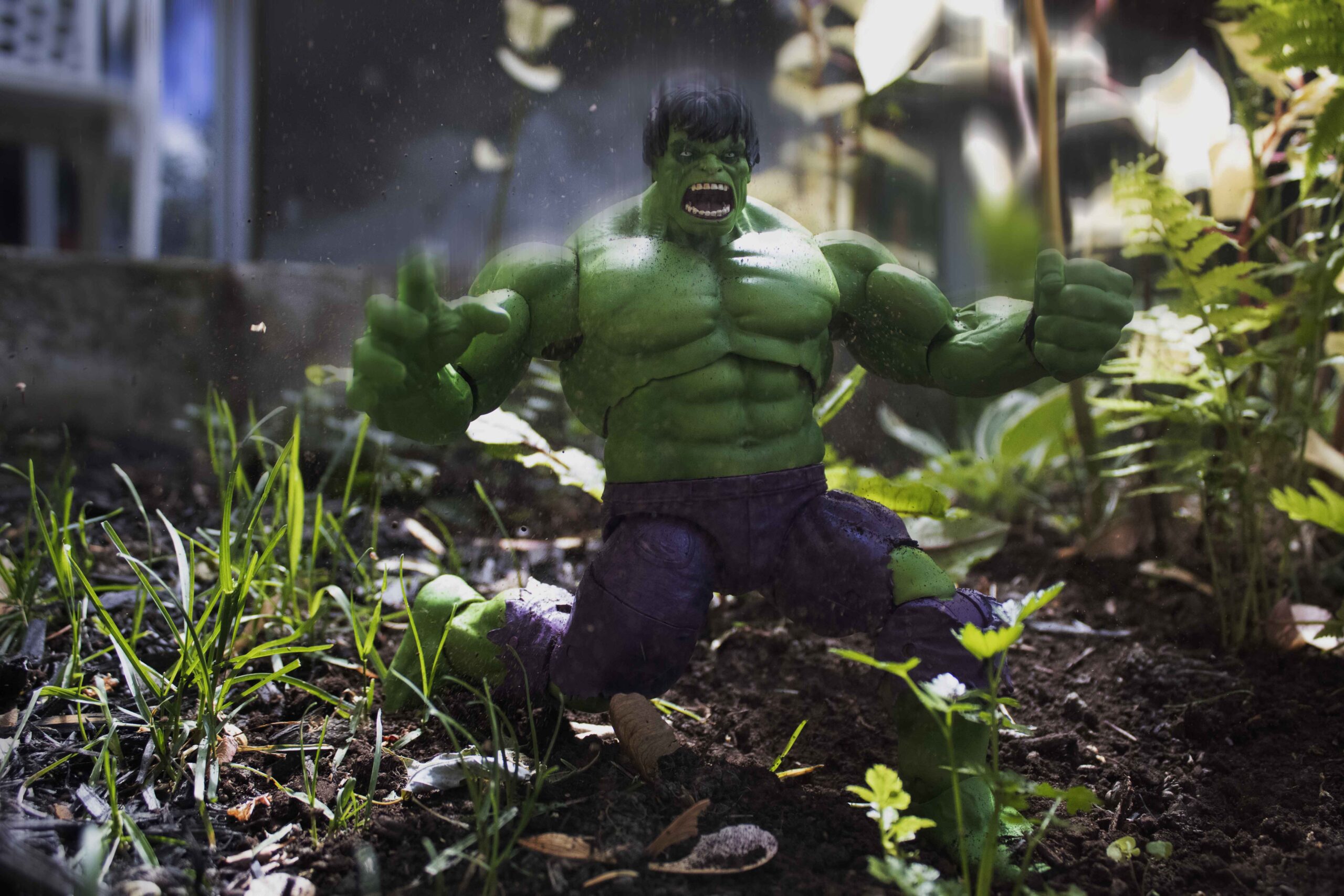 PortFolio | ToyVision