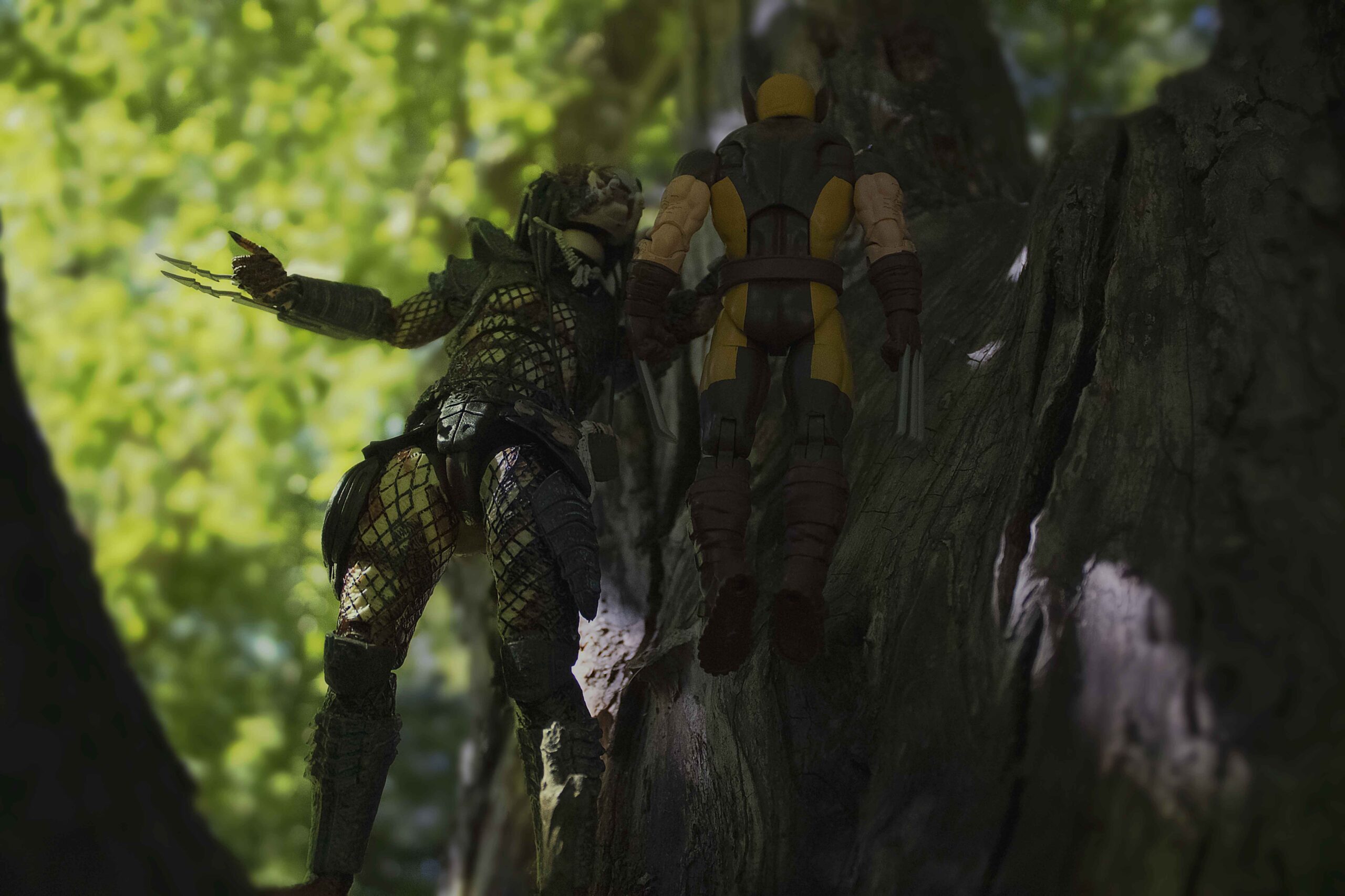 PortFolio | ToyVision